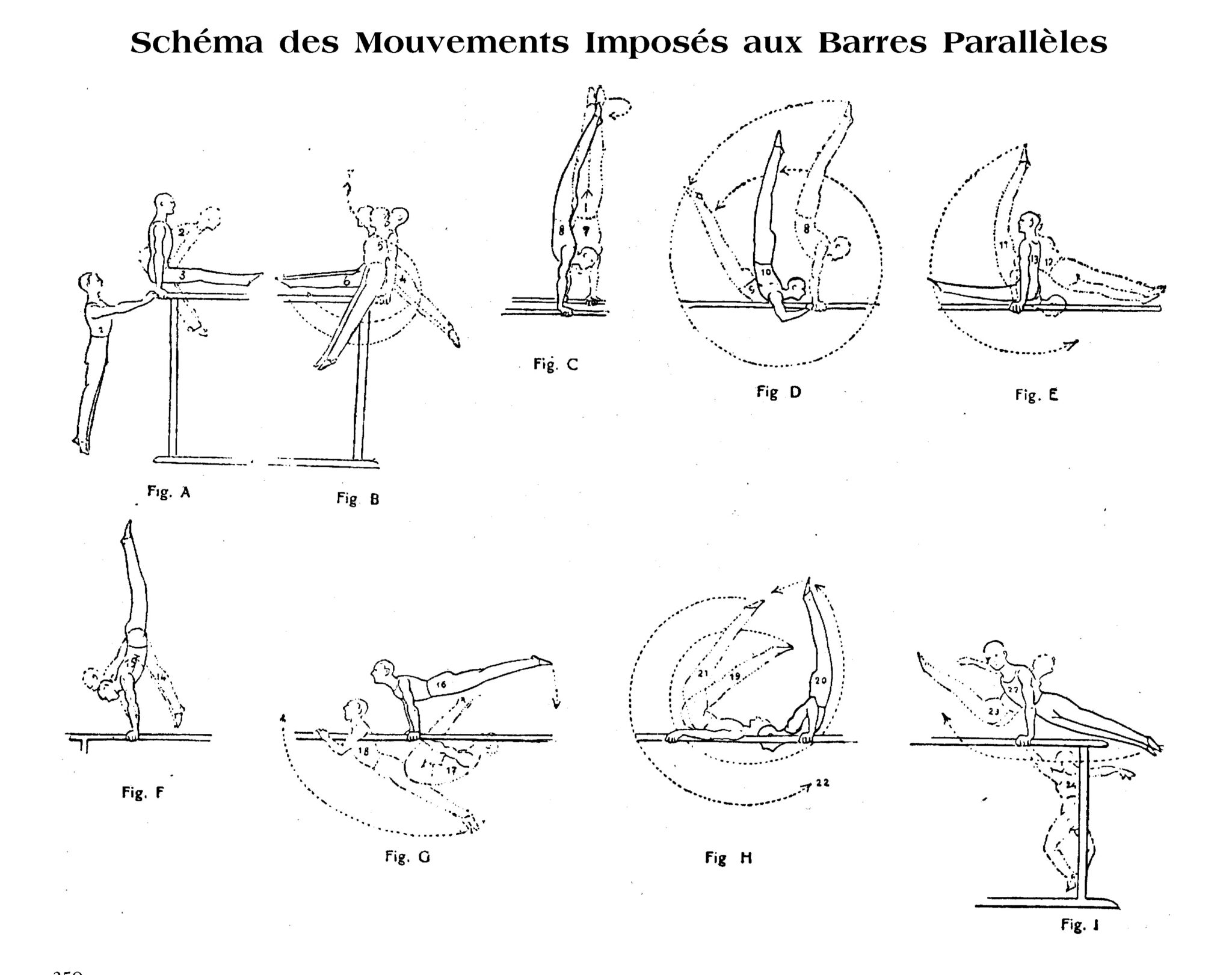 1924: The First Perfect 10 in Gymnastics at the Olympic Games ...
